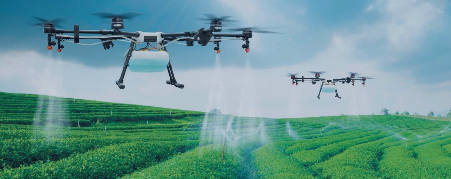 The Singularity Group